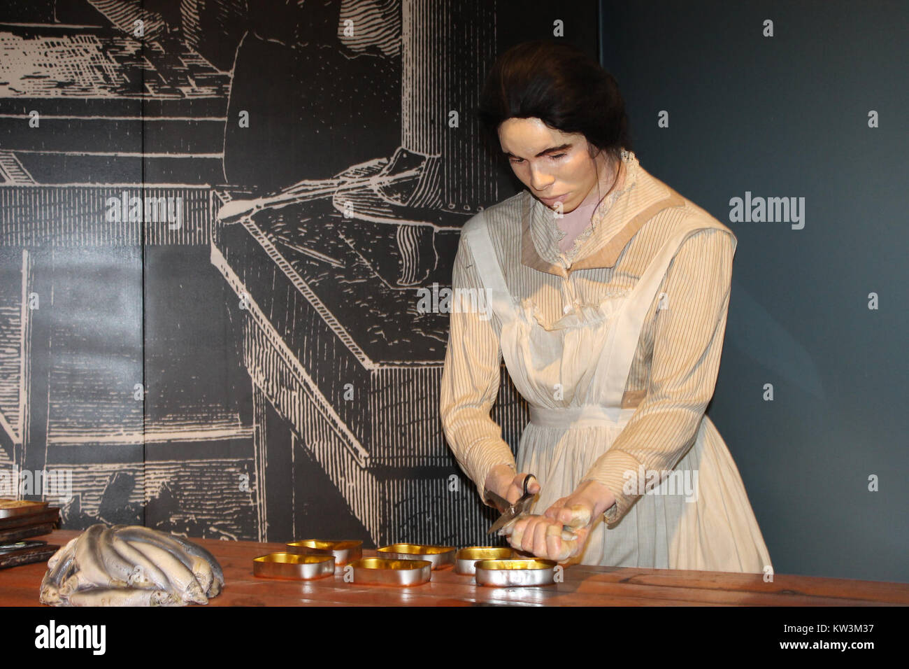 A photograph of a sardine canning exhibit at the Maine State Museum in ...