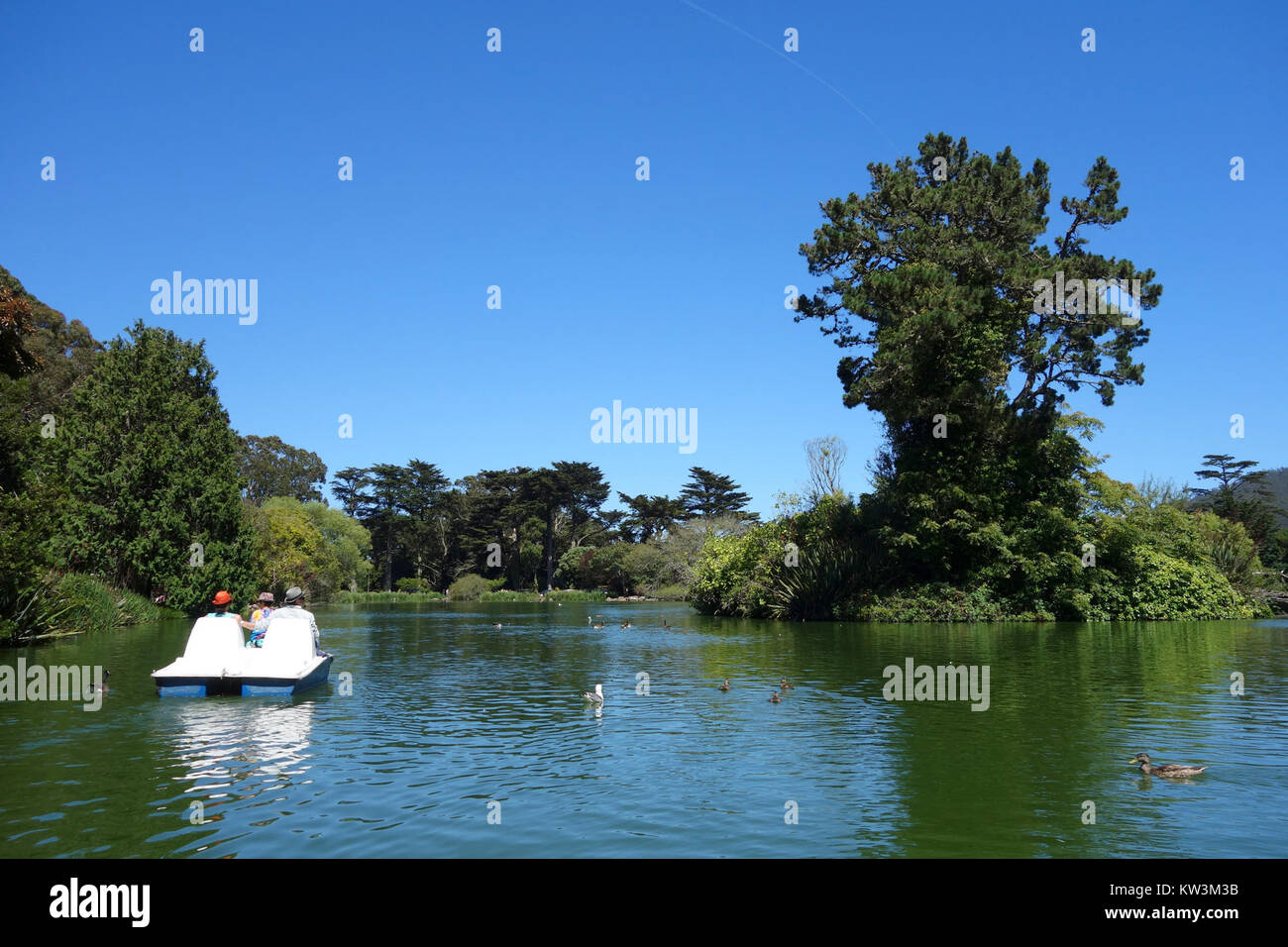 This photograph captures a serene boating scene on Stow Lake in Golden ...