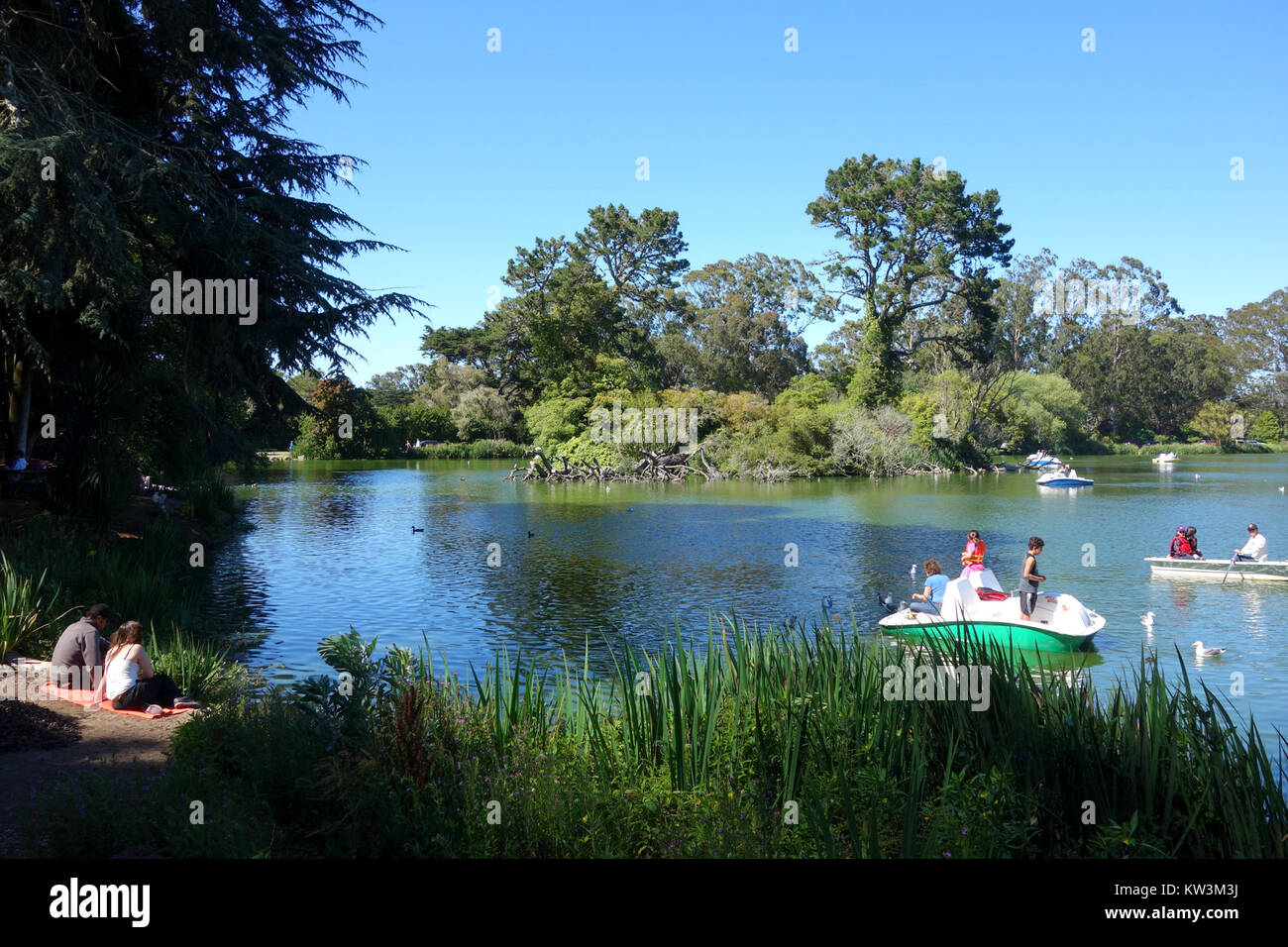 A scene of boating on Stow Lake, located within Golden Gate Park, San ...