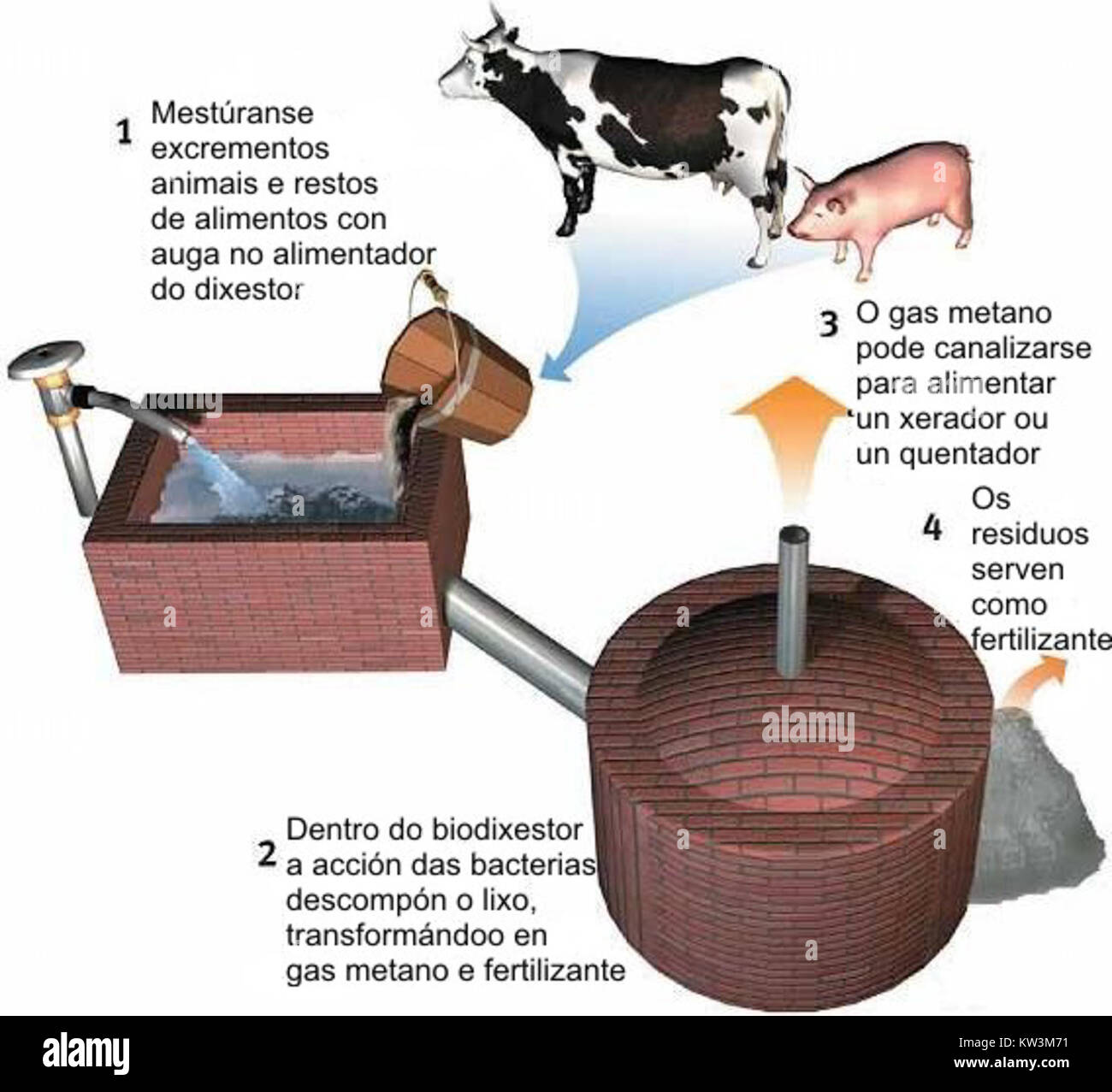 Biodigestor hi-res stock photography and images - Alamy