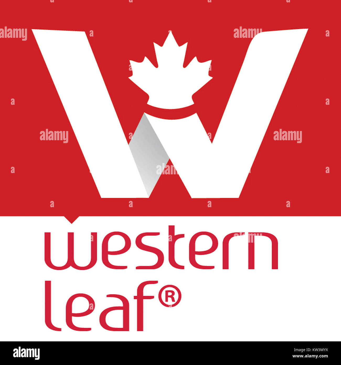 Leaf logo stock hi-res stock photography and images - Alamy