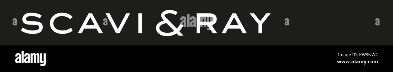 Scavi ray Schriftzug refers to a specific script or inscription related ...