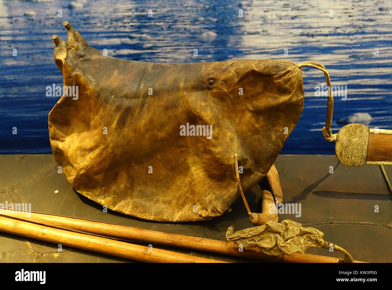 A bladder from the Eskimo people of Julianehaab, South Greenland ...