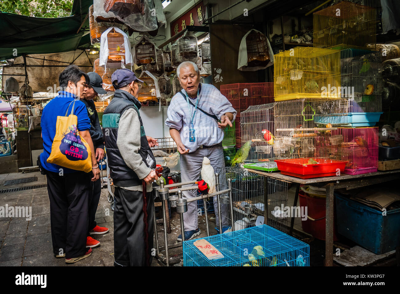 hong kong bird garden yuen po street Stock Photo - Alamy