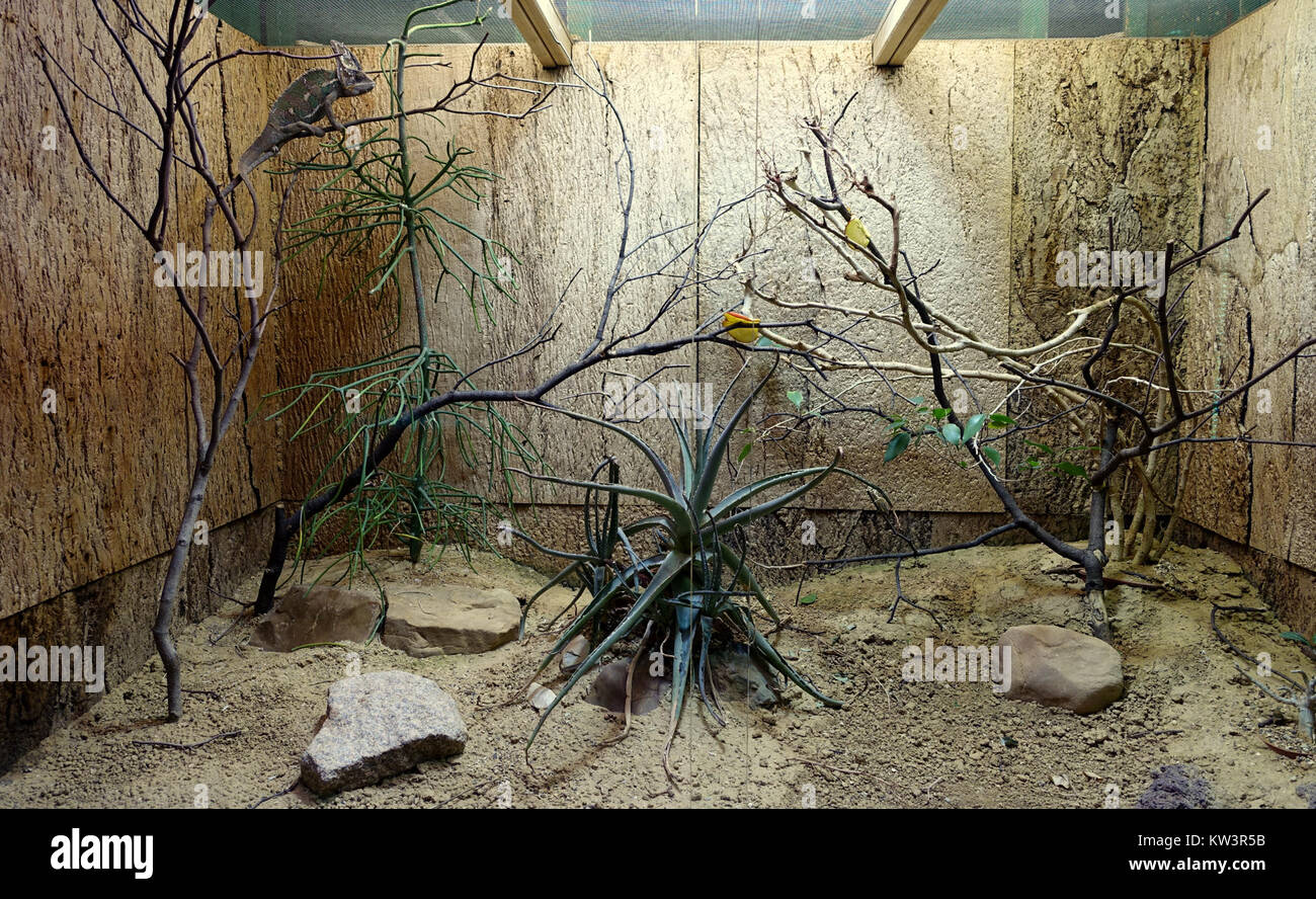 The Biome exhibit at the Naturhistorisches Museum in Braunschweig ...
