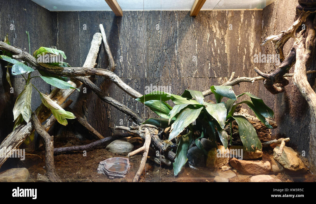 A photo from the Biome exhibit at the Naturhistorisches Museum in ...