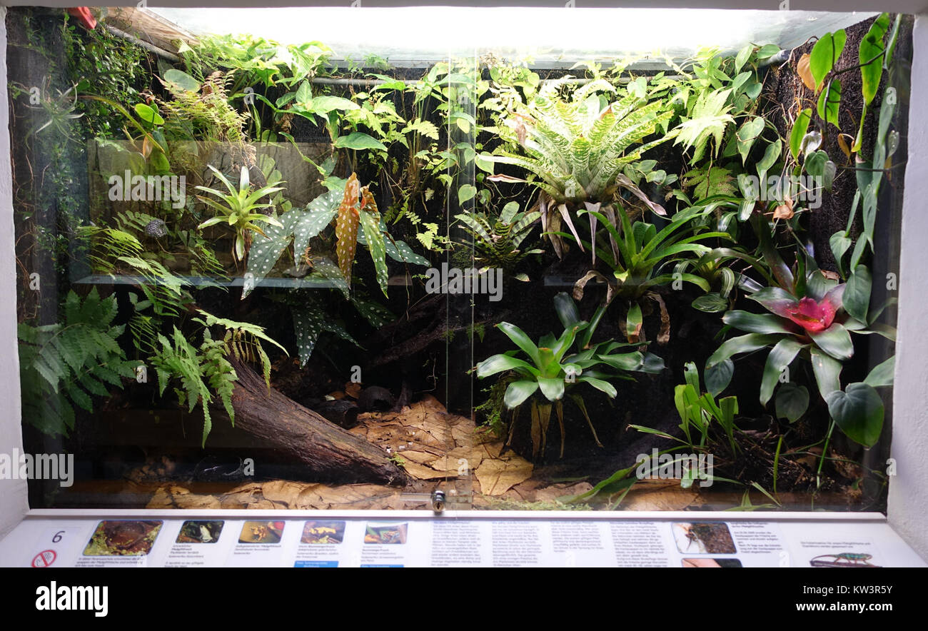 'Biome 06' is an exhibit at the Naturhistorisches Museum in ...