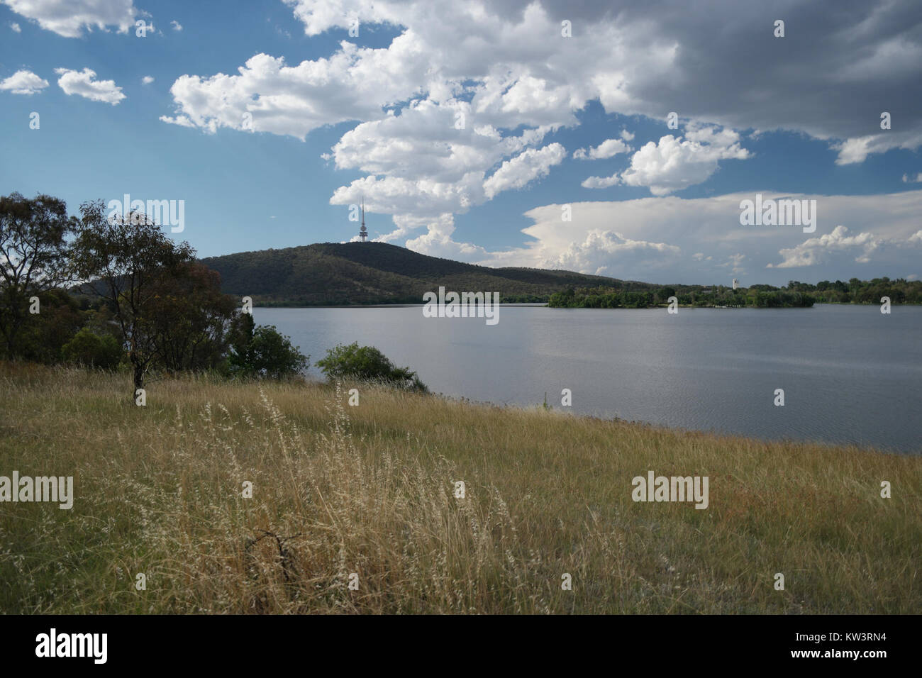 The Black Mountain Tower in Canberra, Australia, is an iconic ...