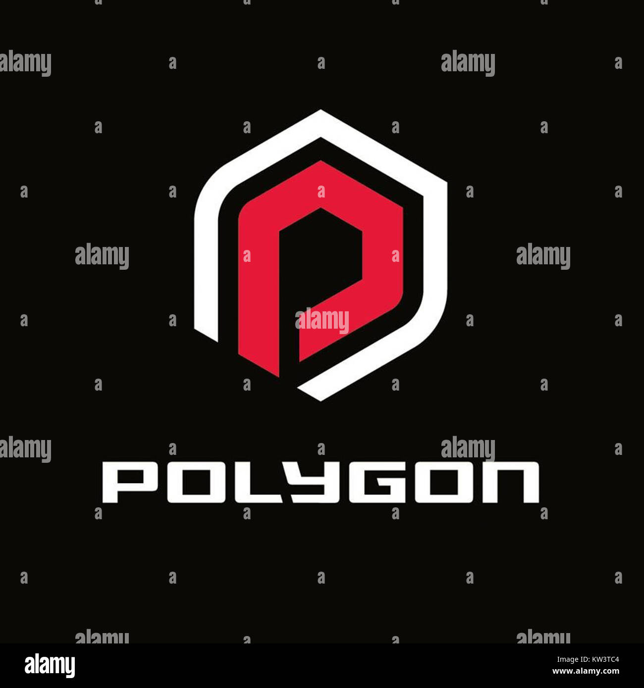 The Polygon Bikes logo represents the brand's identity, reflecting its ...