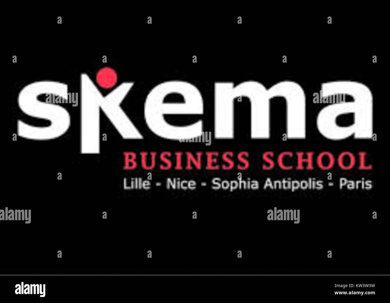 The SKEMA Business School logo represents the prestigious institution’s ...