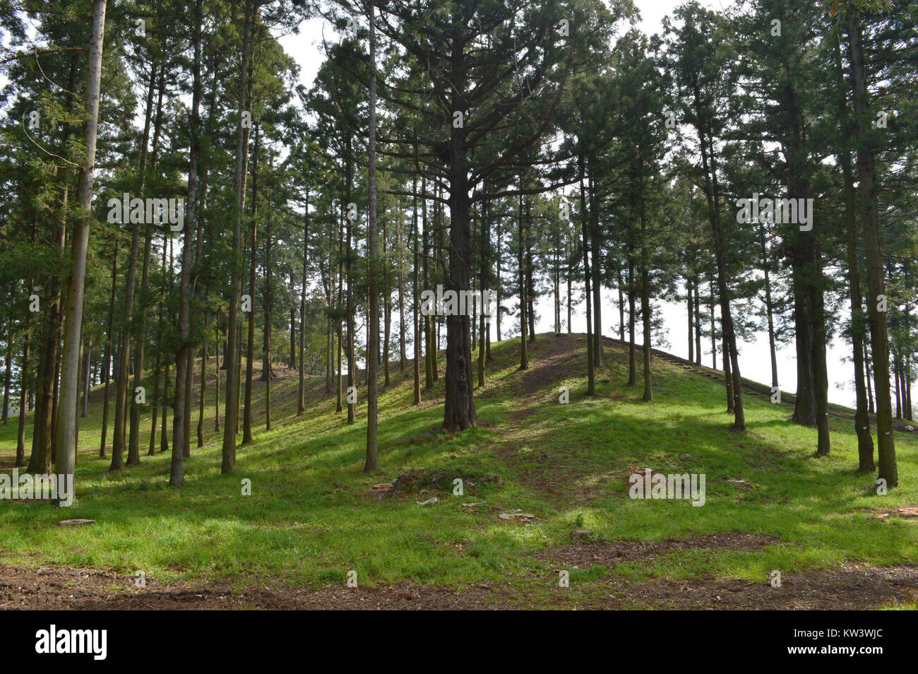 Biwazuka kofun zenkei 3 Stock Photo - Alamy