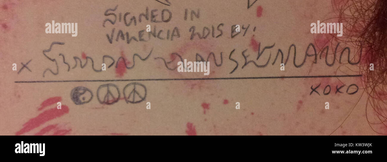 The signature of Simon Hanselmann, a contemporary artist known for his ...