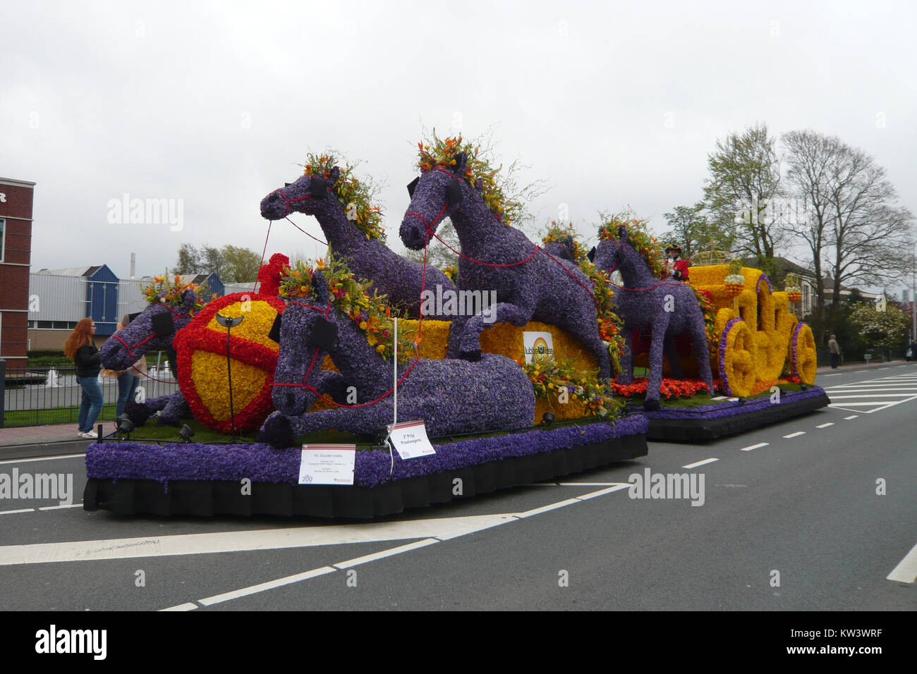 The Bloemencorso 2015 in Hillegom is a renowned flower parade held ...