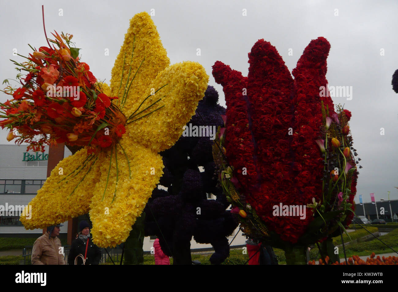The Bloemencorso 2015 flower parade in Hillegom, Netherlands, showcased ...