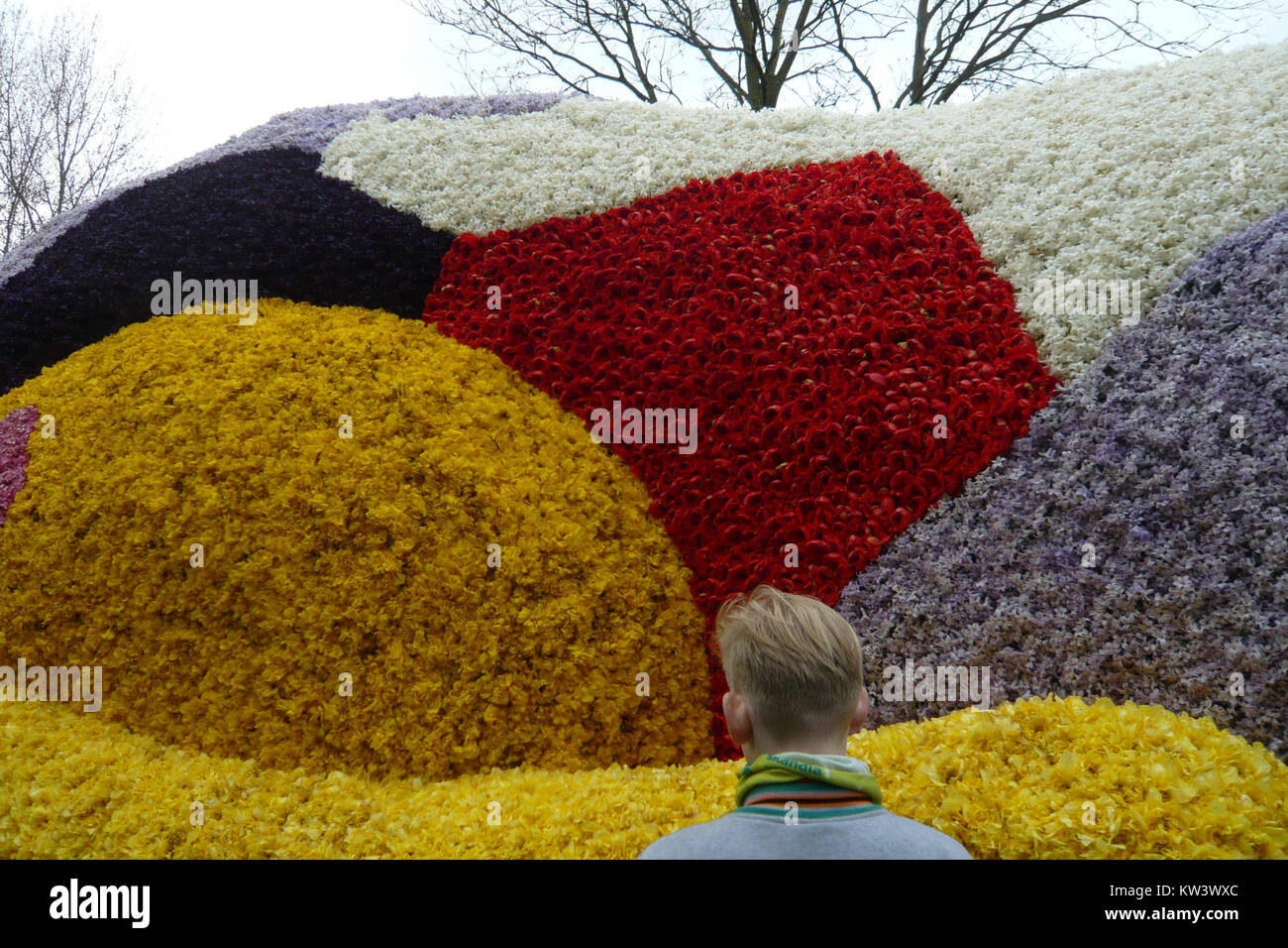 The Bloemencorso in Lisse, Netherlands, is an annual flower parade ...