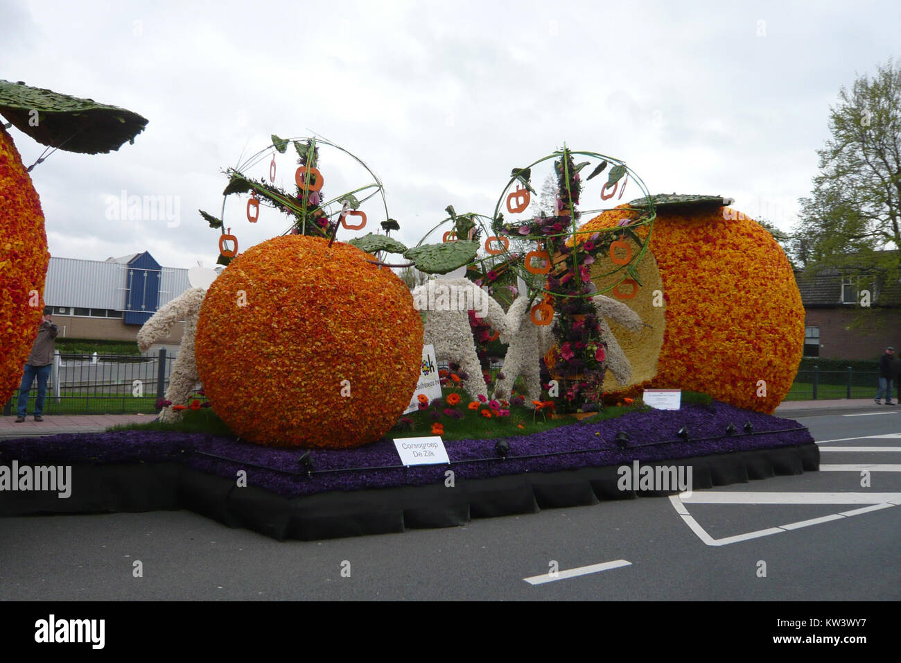 A colorful display from the Bloemencorso flower parade in Lisse ...