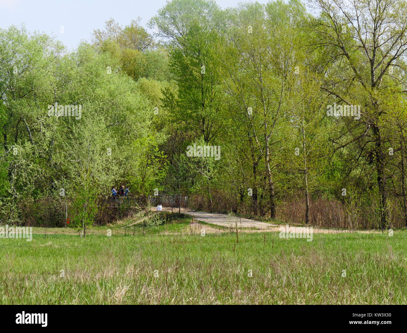 The Bobrovnya First Bridge, located in Russia, is a significant ...