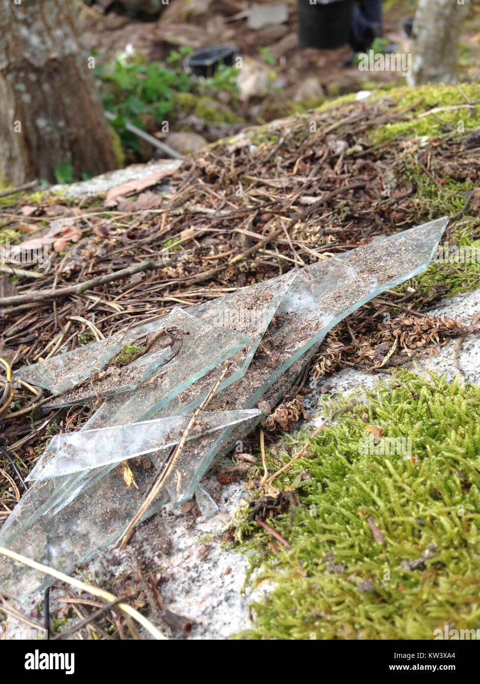 This title may refer to a person, place, or object, identified as 'Bjorn11478,' though further ...