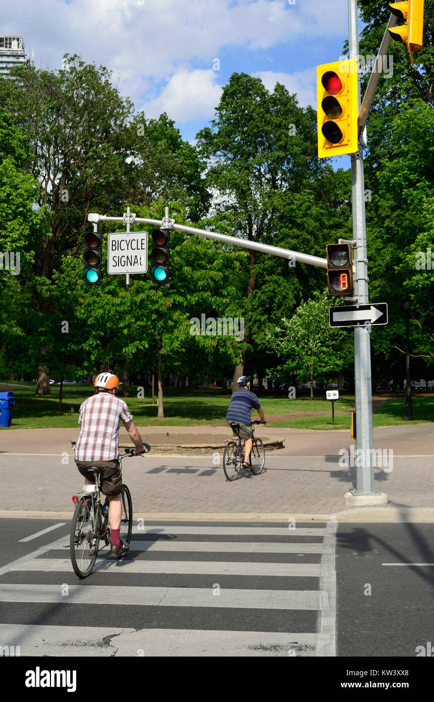 This image depicts a bicycle signal in Toronto, Canada, highlighting ...