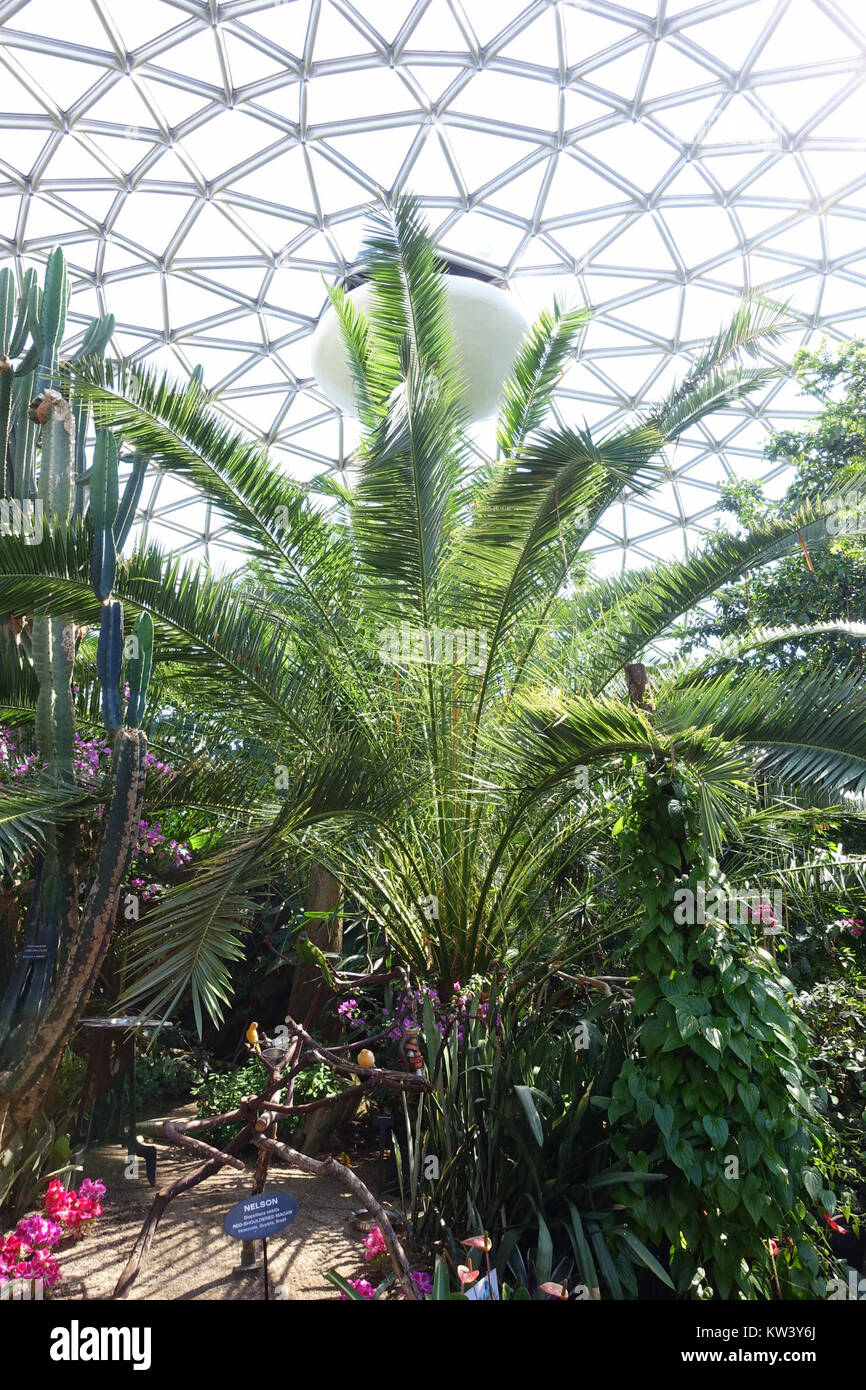 The Bloedel Floral Conservatory, located in Queen Elizabeth Park in ...