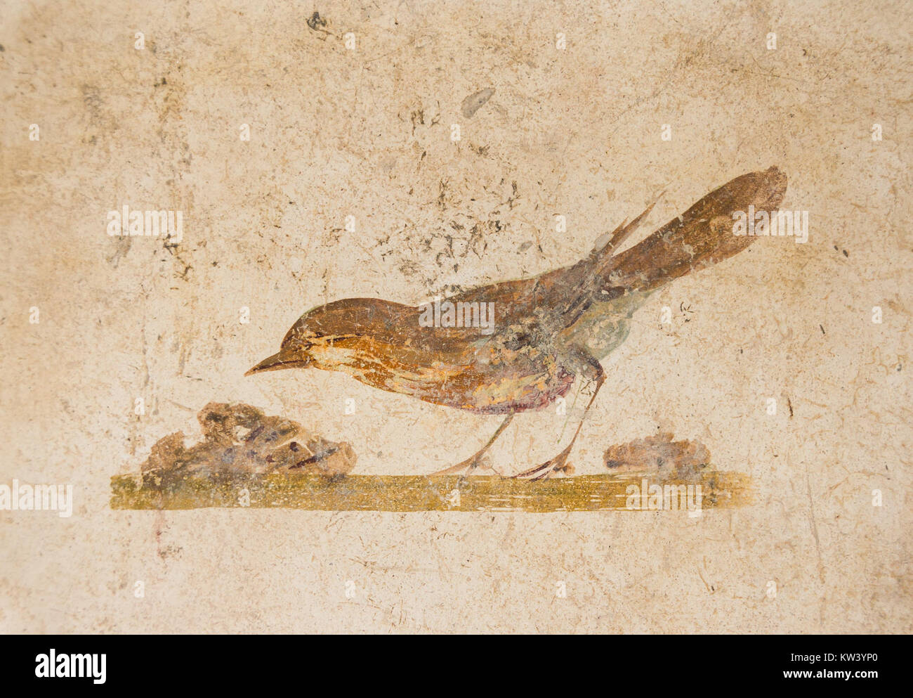 An ancient Roman fresco from Oplontis, Italy, depicting a bird. The ...
