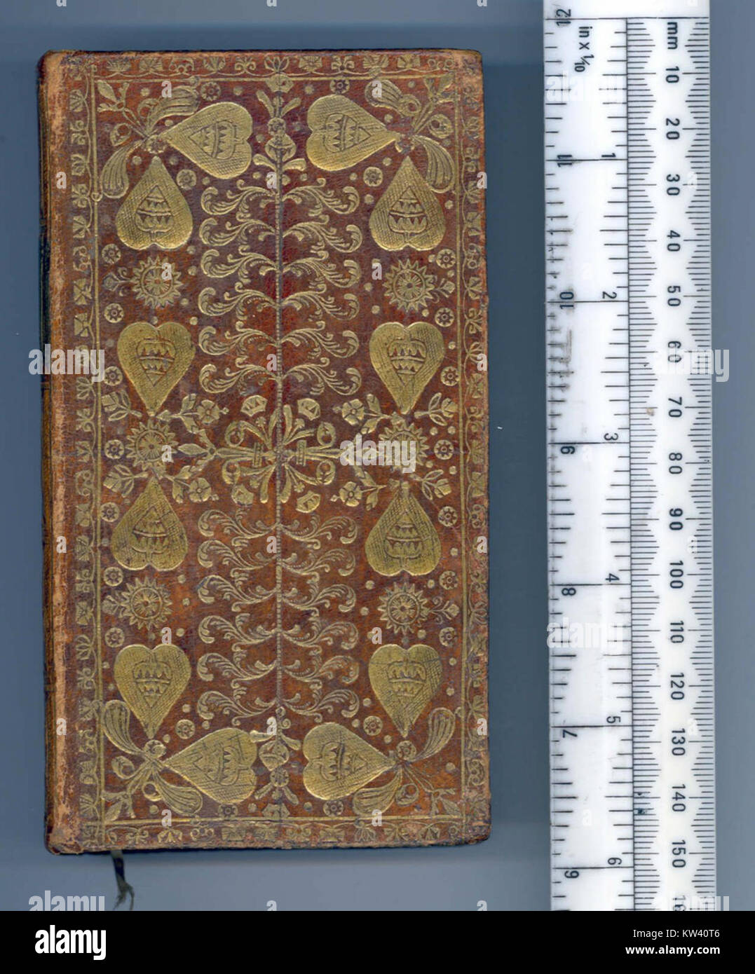 The Bible's upper cover, awaiting a specific shelf mark assignment, is ...