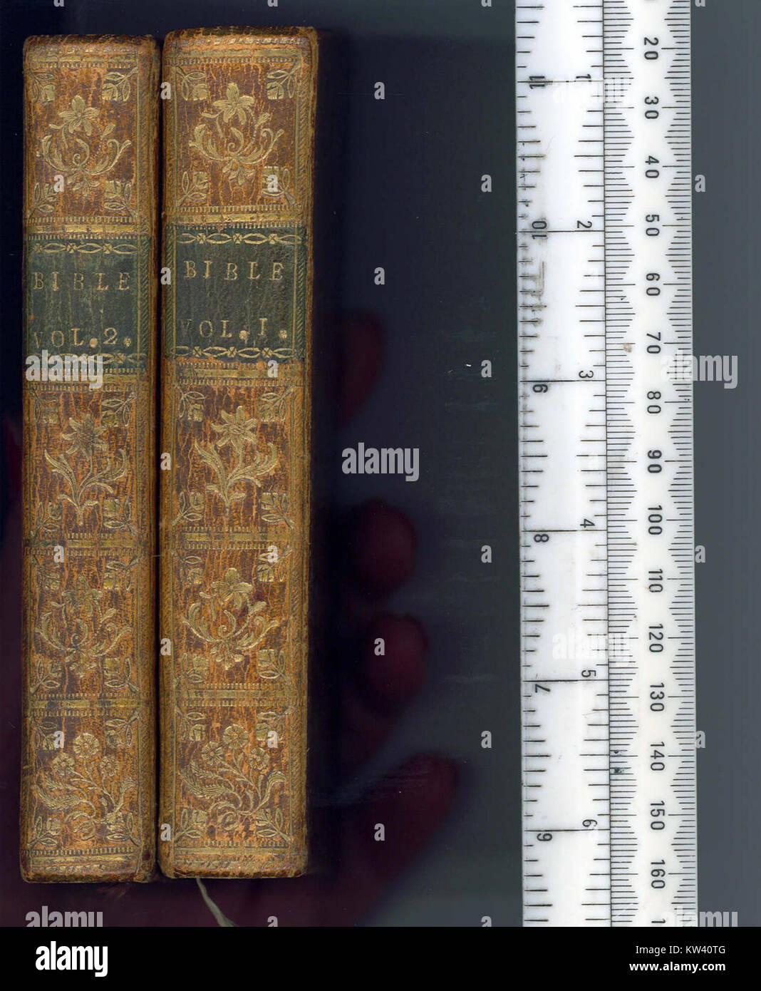 The Bible Spine (c194a735) refers to an image or artifact, likely an ...