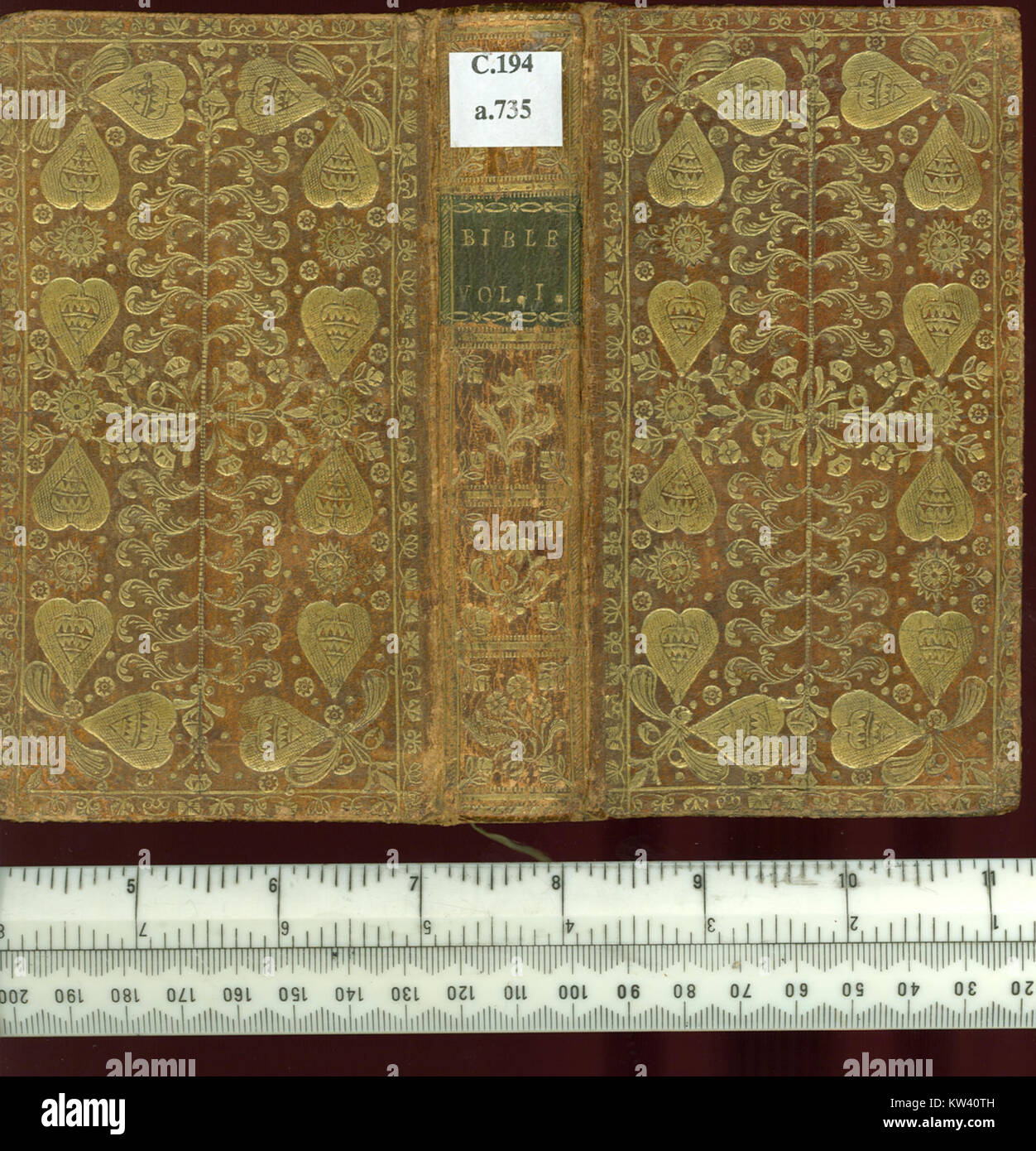 This image shows the upper and lower covers and spine of a Bible ...