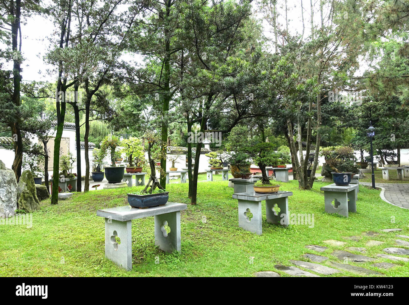 The Bonsai collection at Baihuatan Park in Chengdu, China, is known for ...