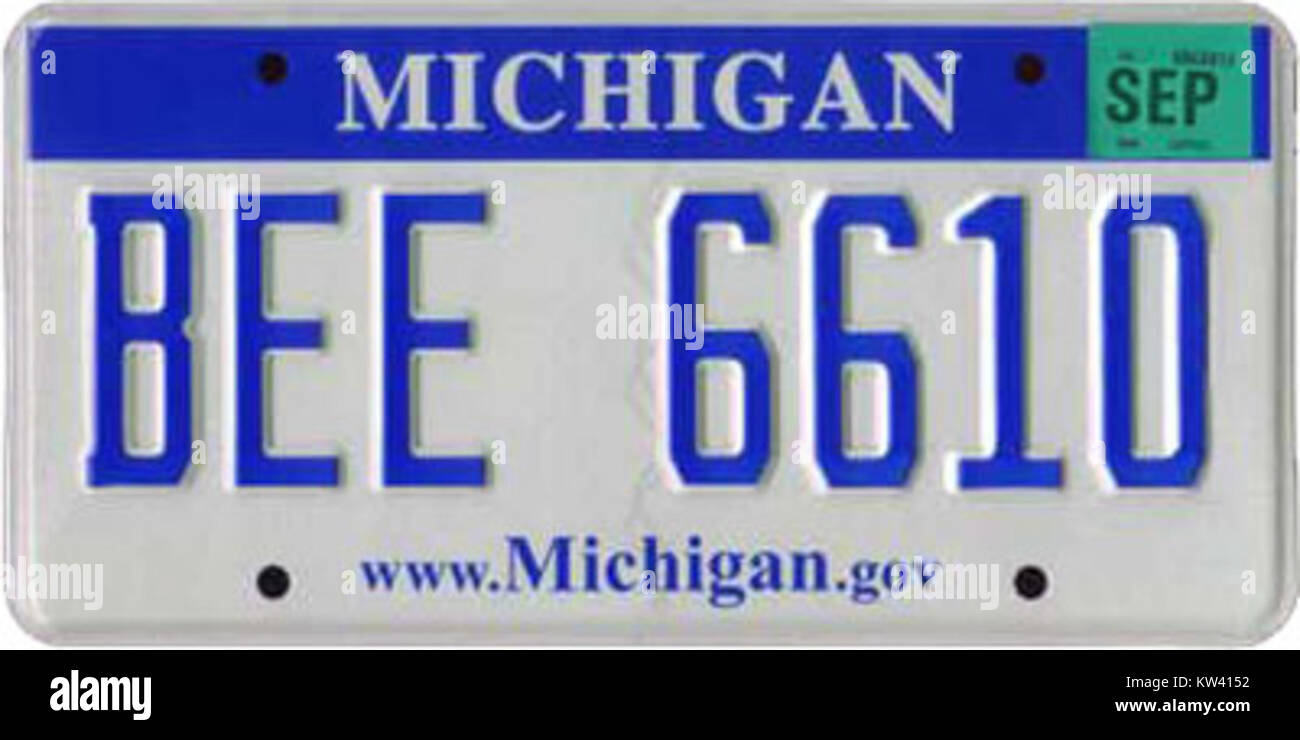 This image features a 2008 Michigan license plate, which is part of the ...