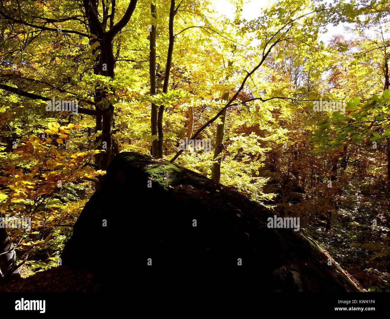 BisPagAutumn04 represents a visual or photographic representation of ...