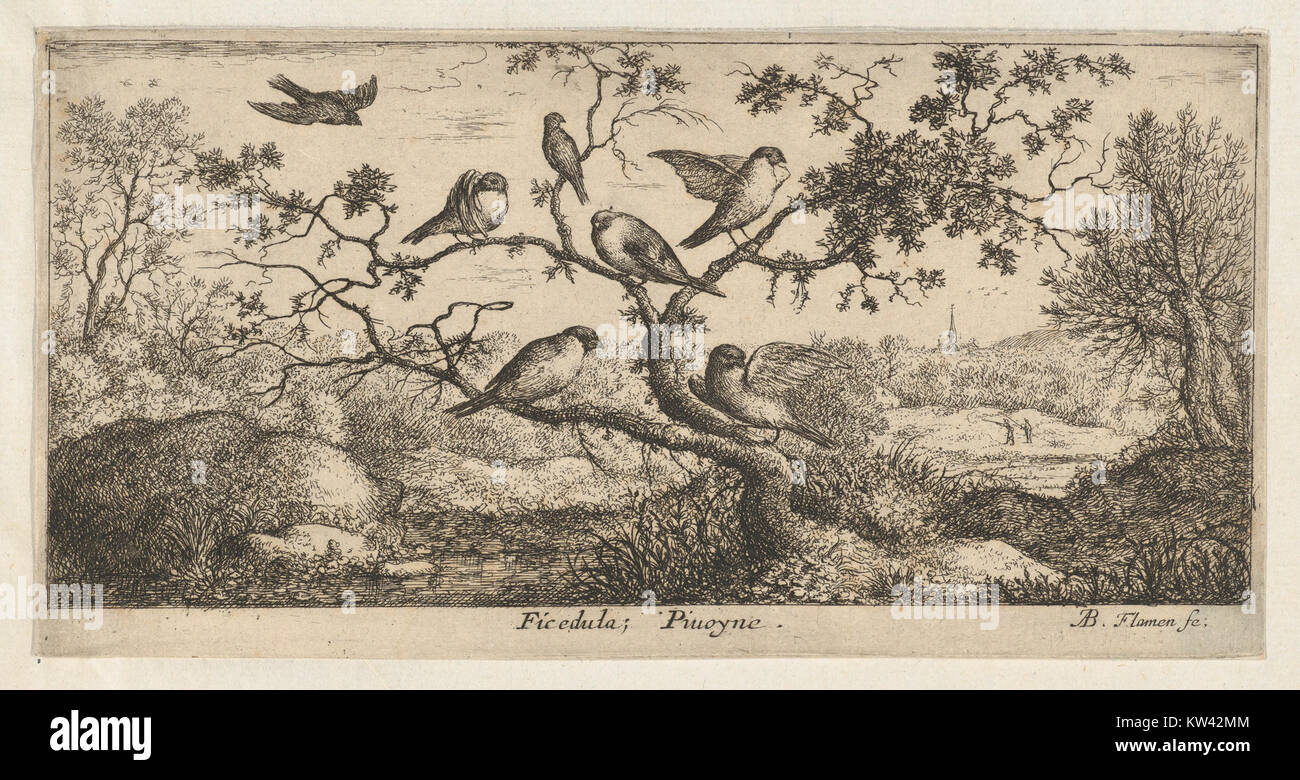 The Book of Birds, housed in the Metropolitan Museum of Art (MET), is a ...
