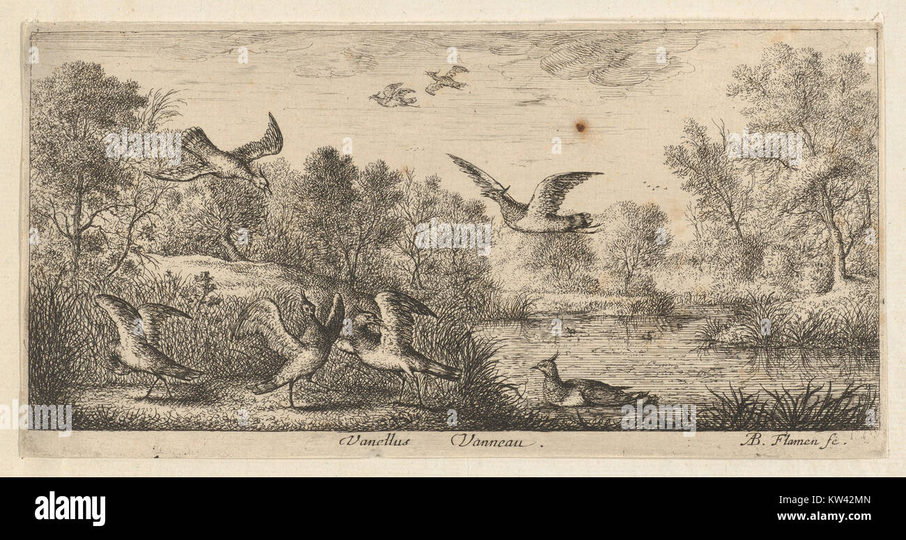 The *Book of Birds* is a collection of illustrations housed at the ...