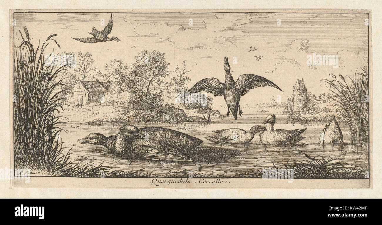 The Book of Birds, part of the MET collection, is a significant work ...