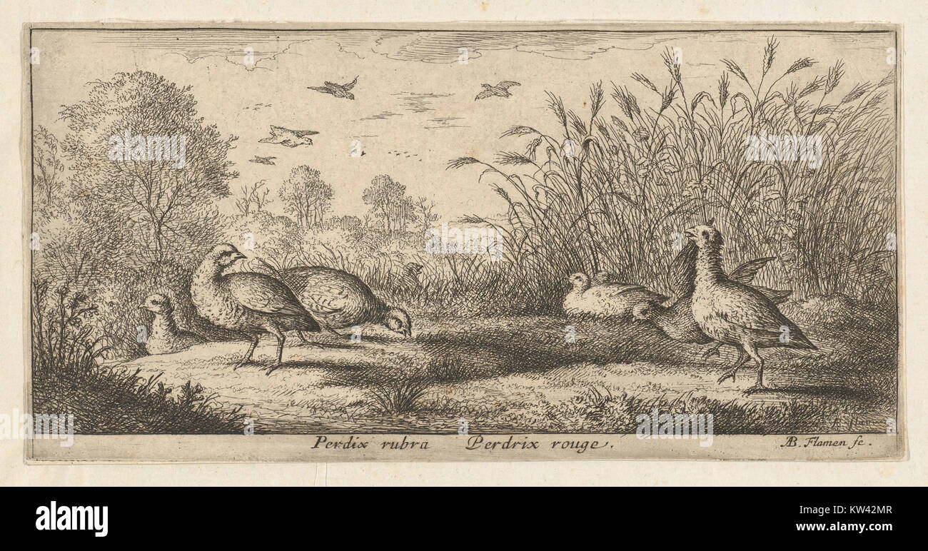 The Book of Birds, held in the Metropolitan Museum of Art’s collection ...