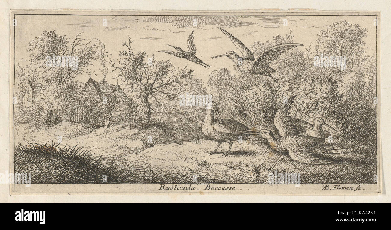 The Book of Birds is a detailed and illustrated work housed at the ...