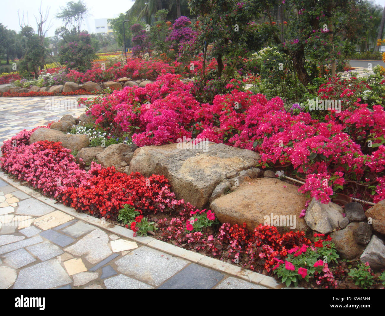 Binhai Park, located in Tianjin, China, is a well-known public park ...
