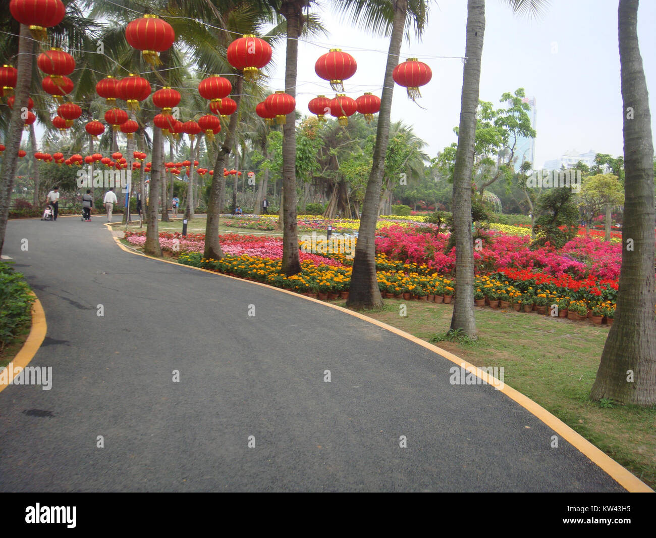 Binhai Park, located in China, is a popular public park known for its ...