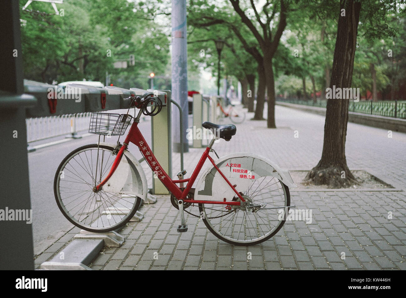 Exploring Beijing by bicycle offers an immersive experience into the ...