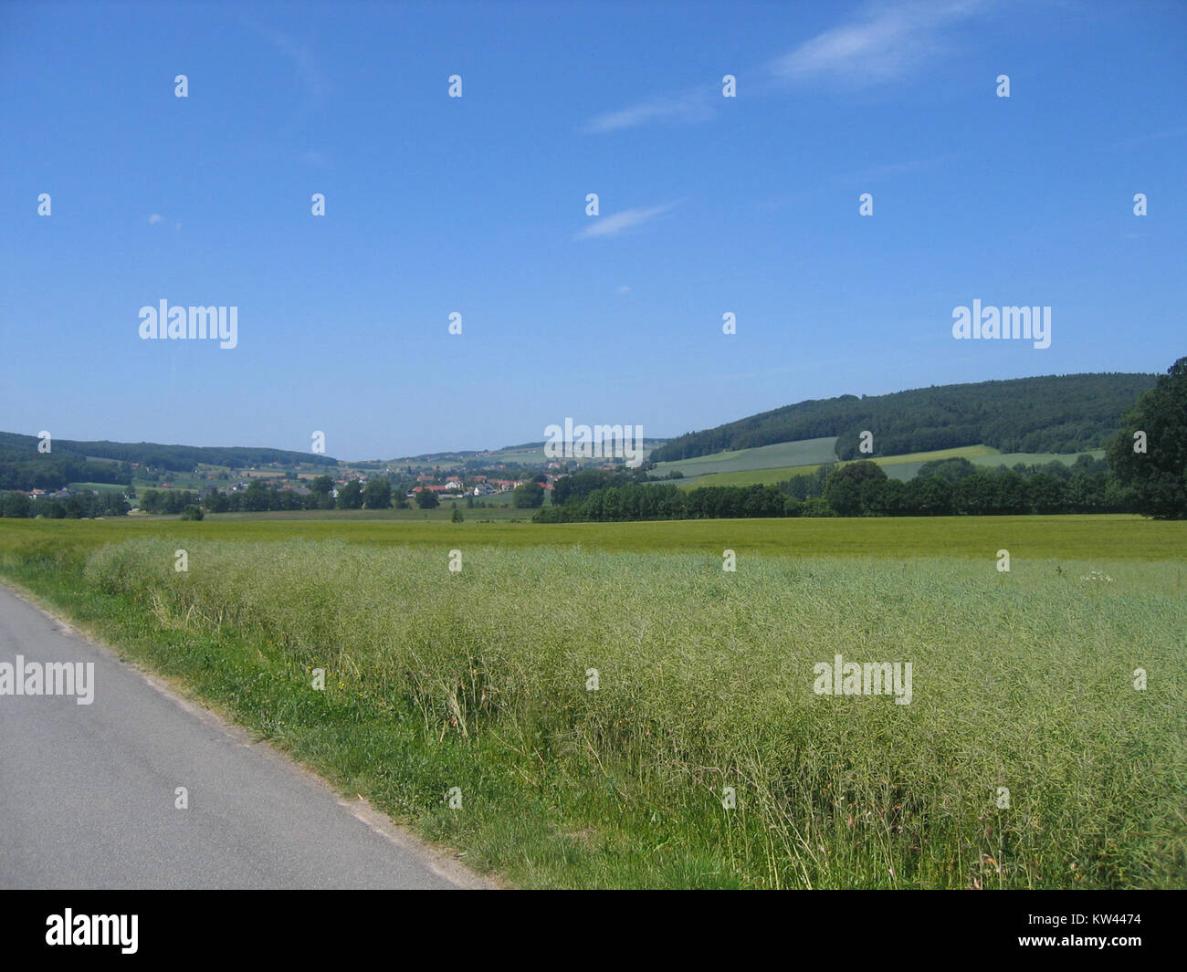 The photograph taken in Blasheim, Germany, in June 2009 captures the ...