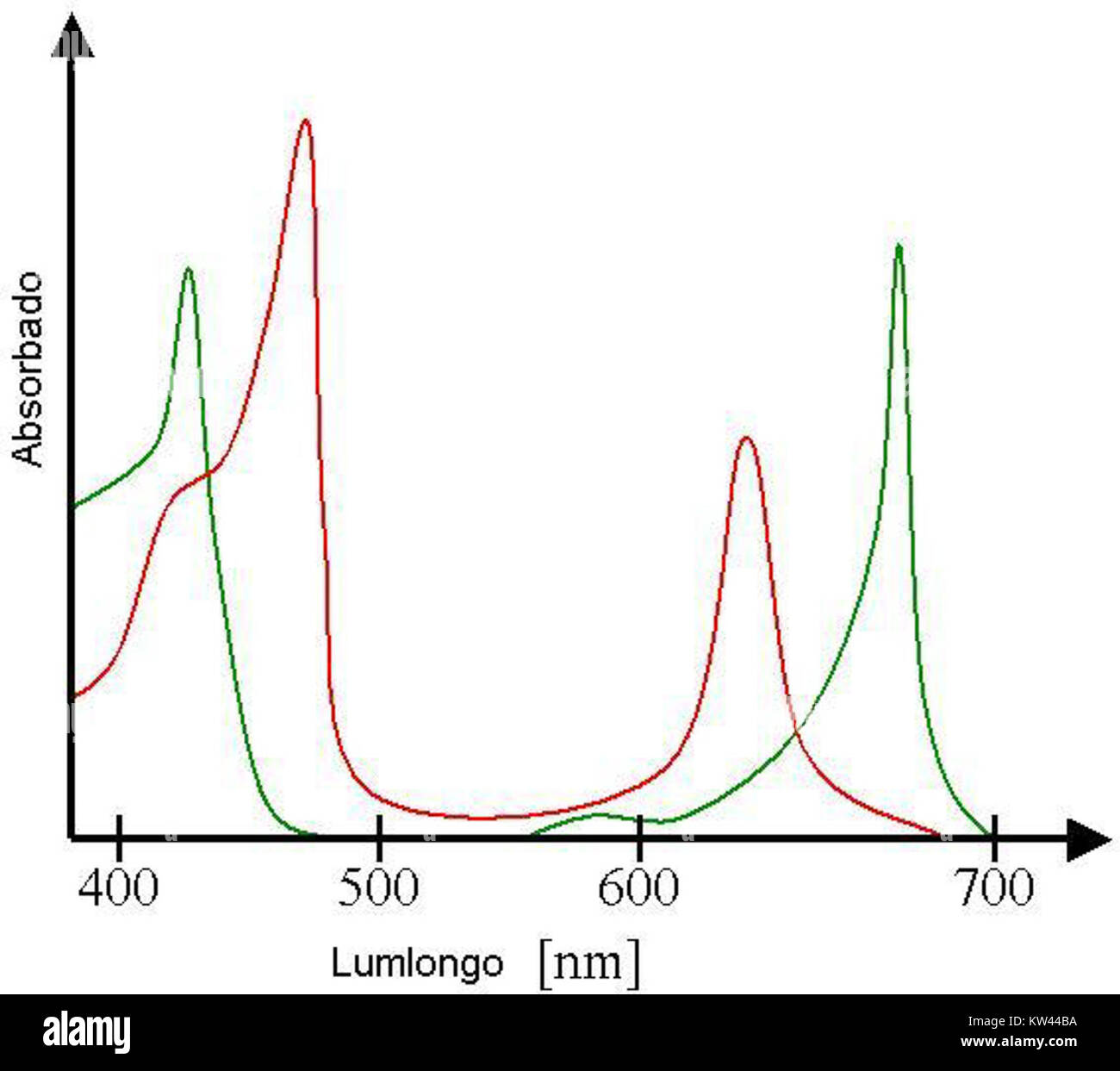 Chlorophyll a absorption spectrum hi-res stock photography and images ...