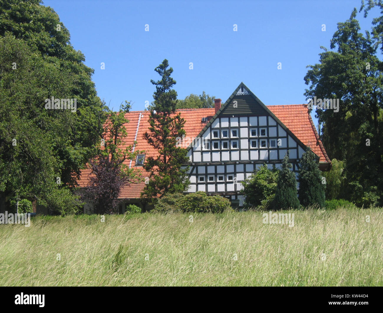 An image captured in Blasheim, Germany, in June 2009, showing the ...