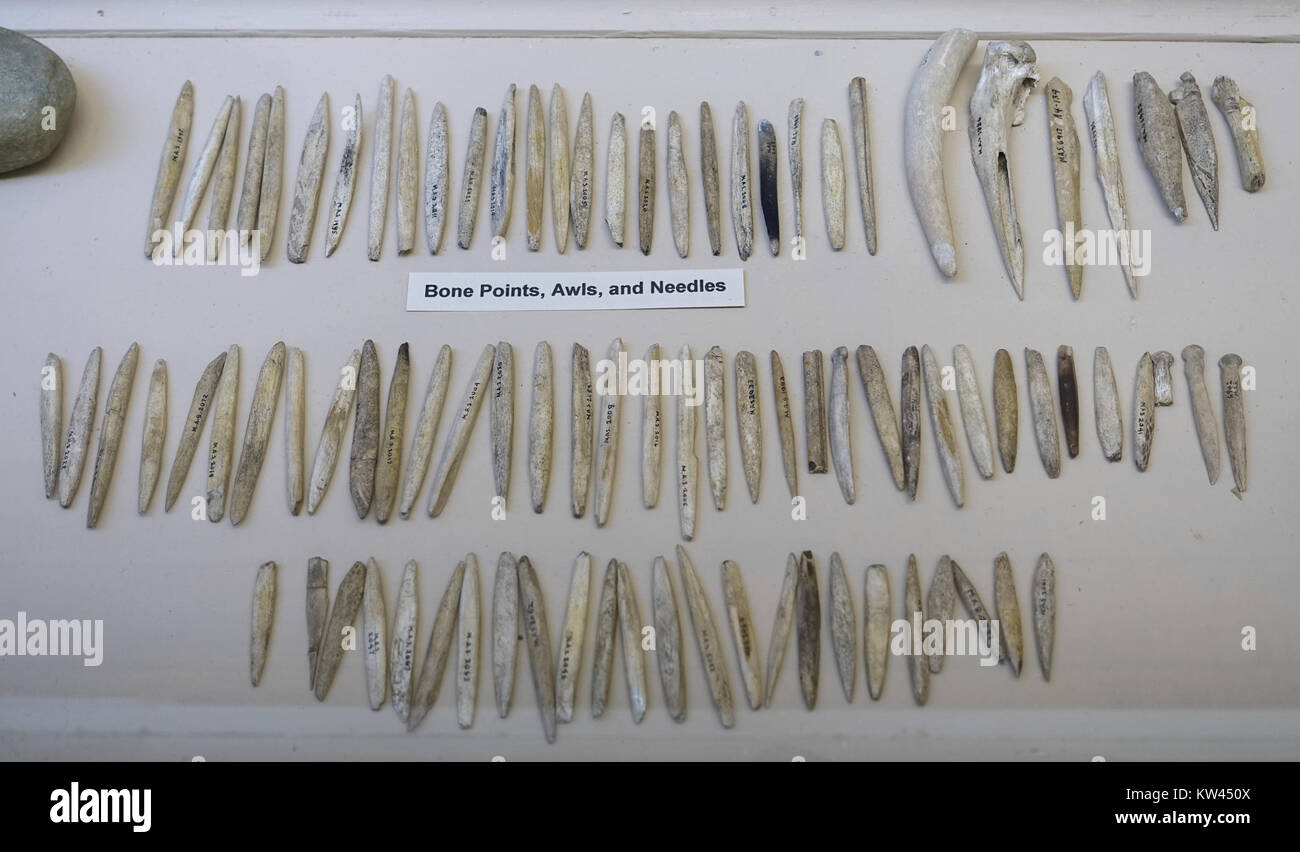 The Robbins Museum houses a Late Woodland collection of bone points ...