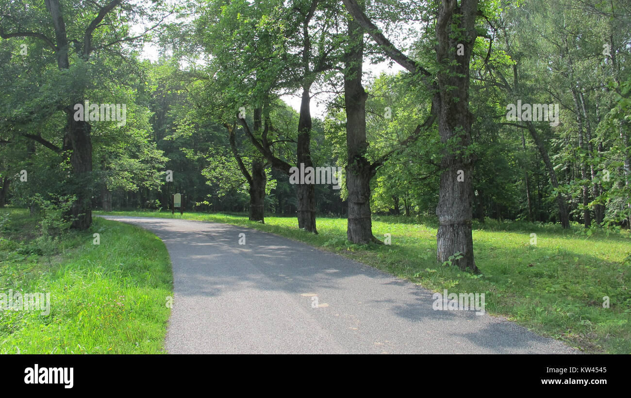 30 006 hi-res stock photography and images - Alamy