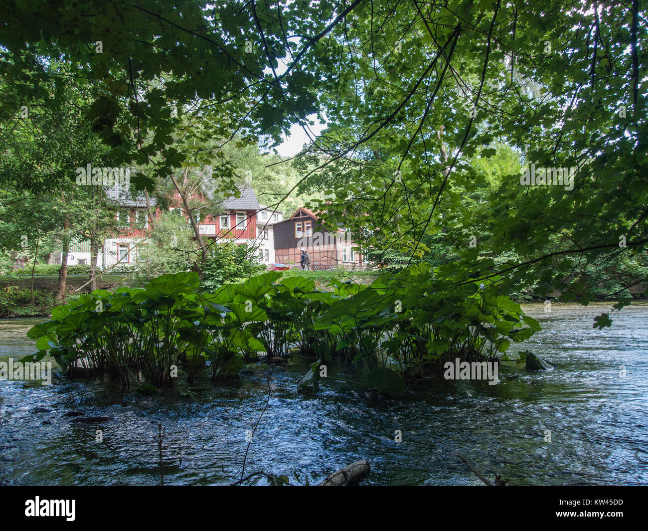 A photograph taken in August 2016 of Bode Treseburg, possibly referring ...