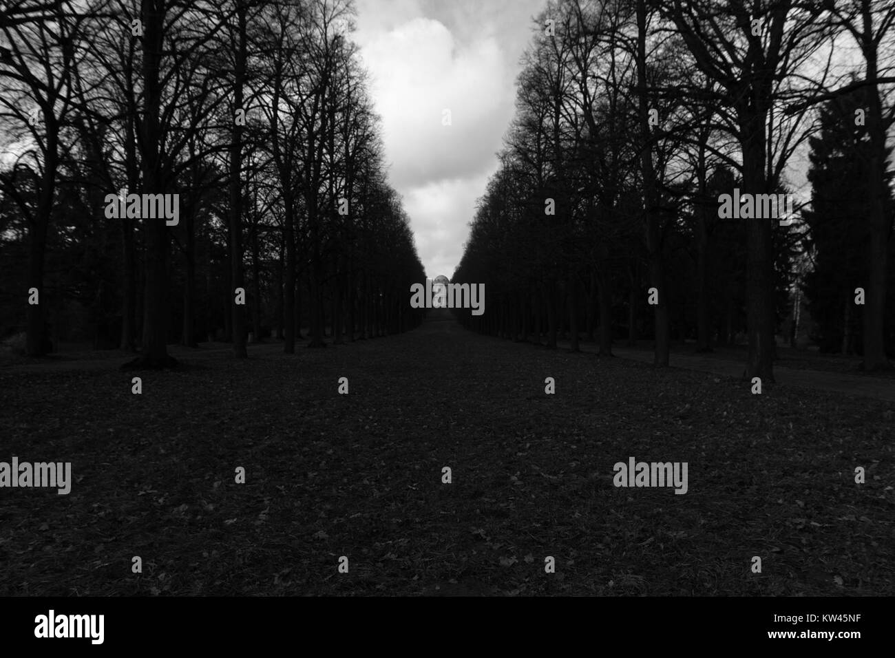 Garden scene monochrome Black and White Stock Photos & Images - Alamy