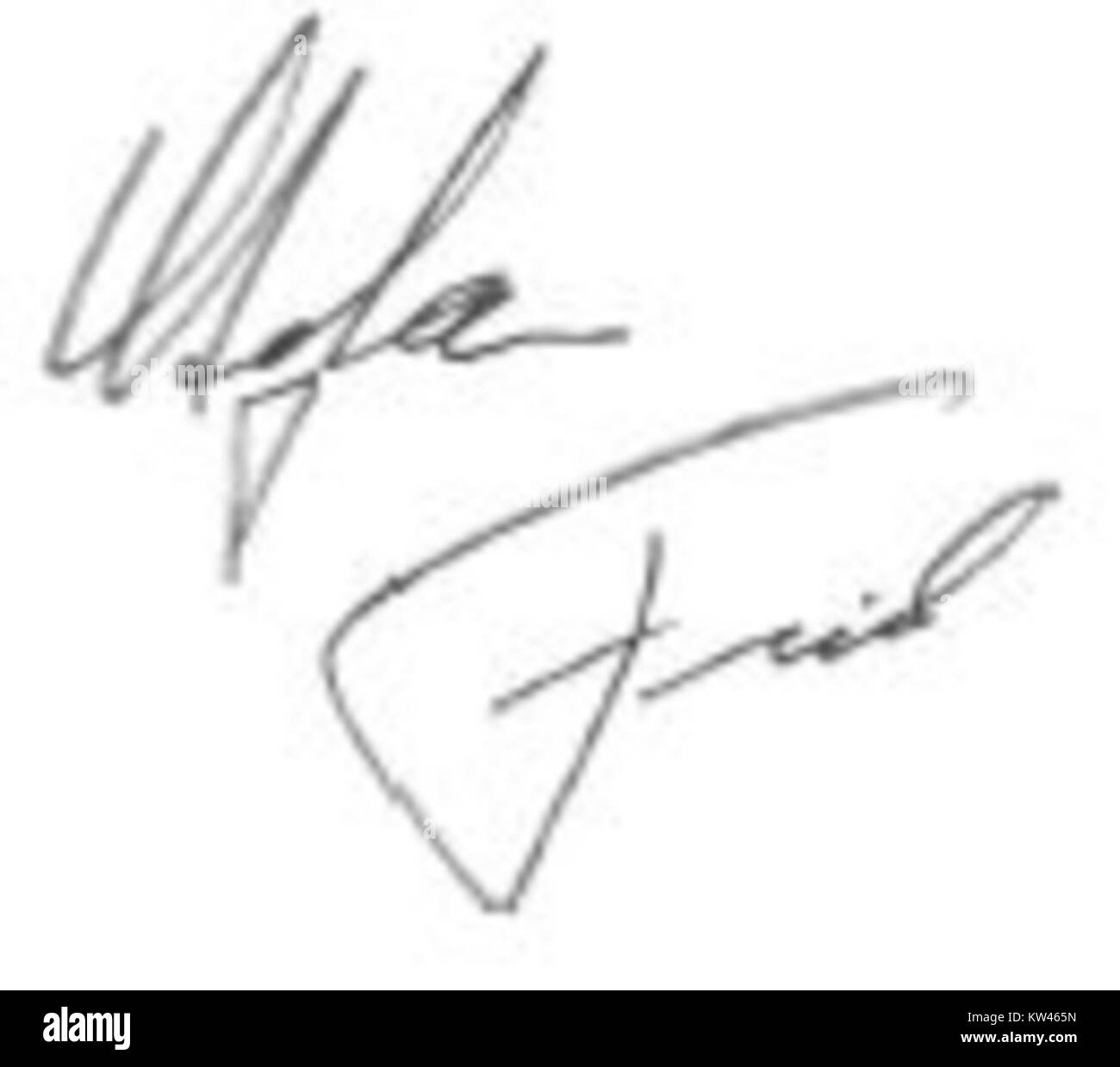 Stefan FÃ¼le, a Czech politician and diplomat, is known for his ...