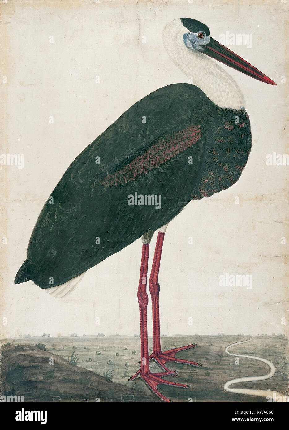 This painting, titled 'Black Stork in a Landscape,' is a work of art ...