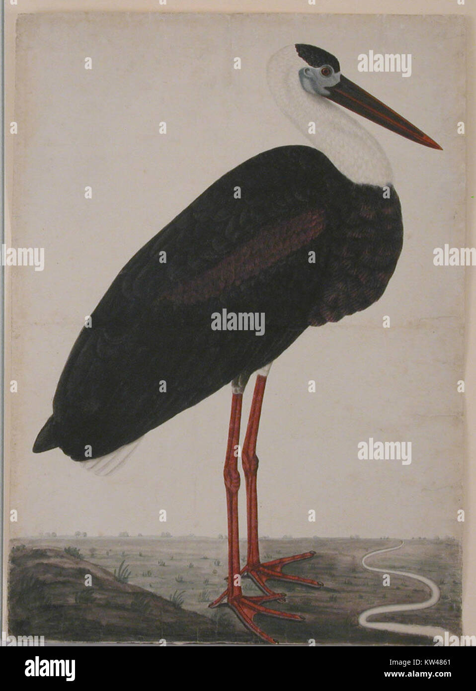 Stork artwork hi-res stock photography and images - Alamy