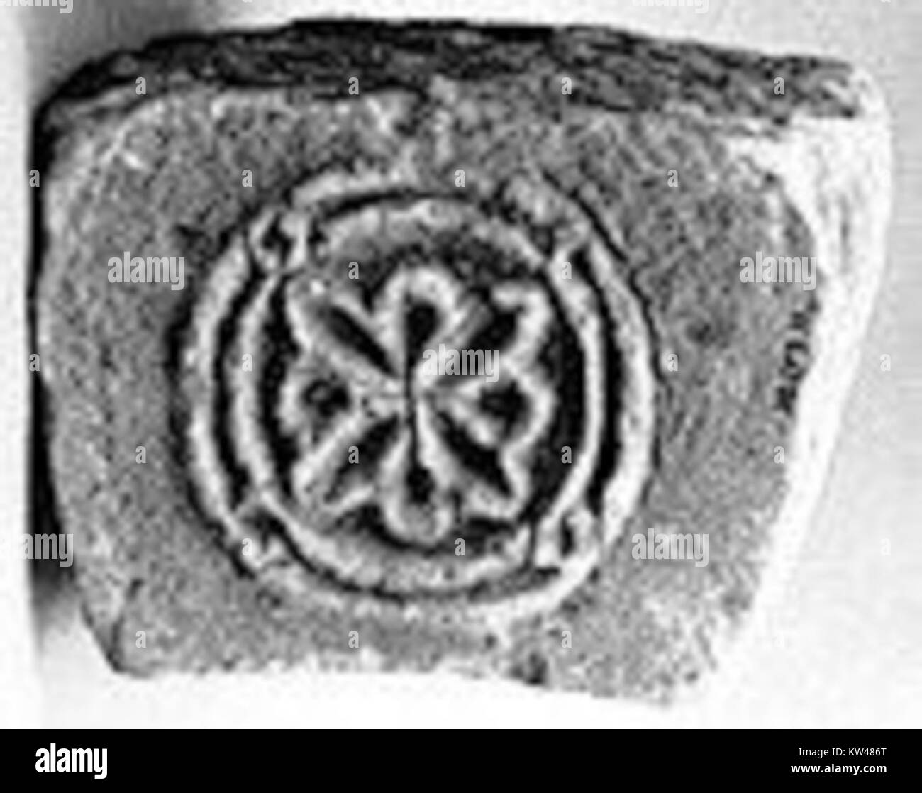 Rosette structure Black and White Stock Photos & Images - Alamy